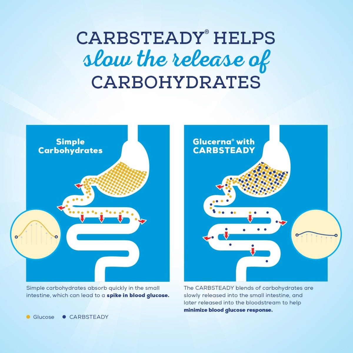 Glucerna Hunger Smart Meal Shake / Rich Chocolate / 16 fl oz / Case of 12